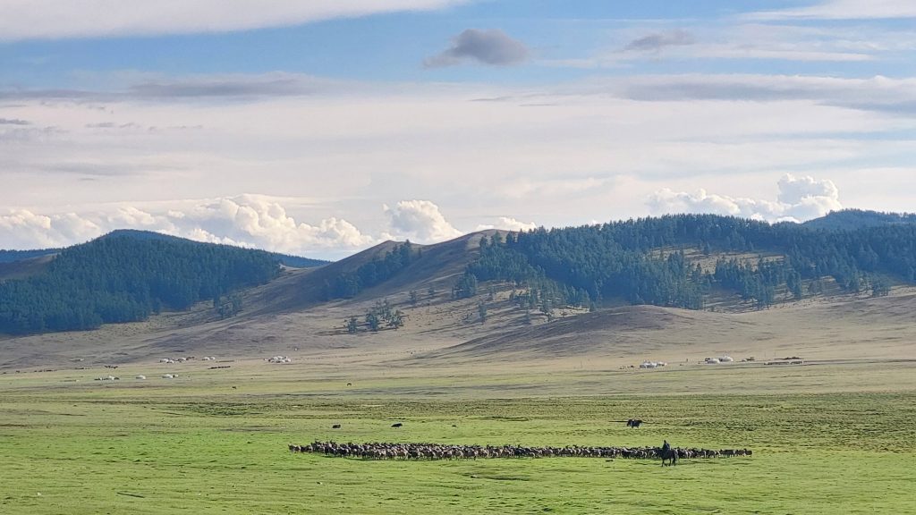 Монгол нүүдлийн зан үйл өв нь Монгол Улсаас ЮНЕСКО гийн соёлын биет бус өвийн жагсаалтад